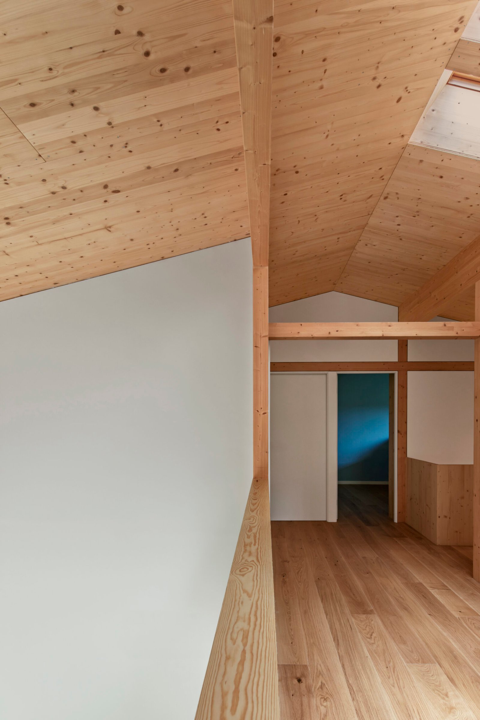 LC house: Modular timber structure ensures a low environmental impact ...