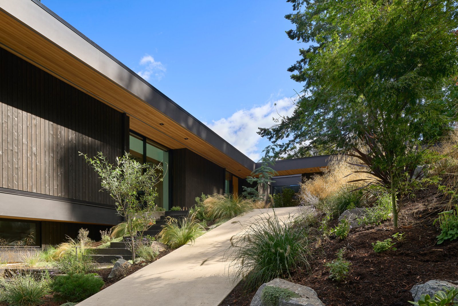 Layer House quietly observes the shifting light and rhythms of the ...